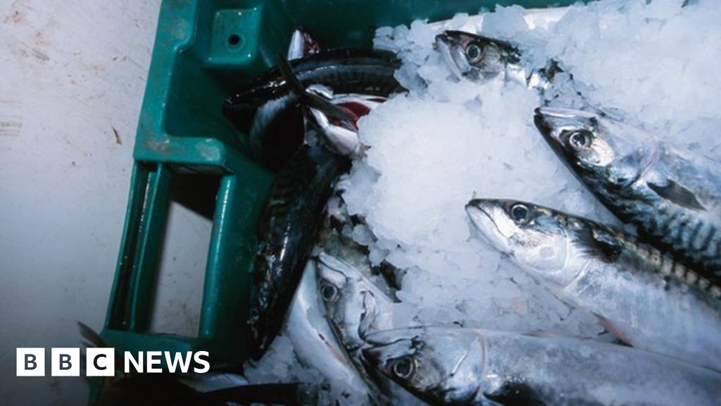 Fishing ports told to close ice plants over health and safety fears - BBC News
