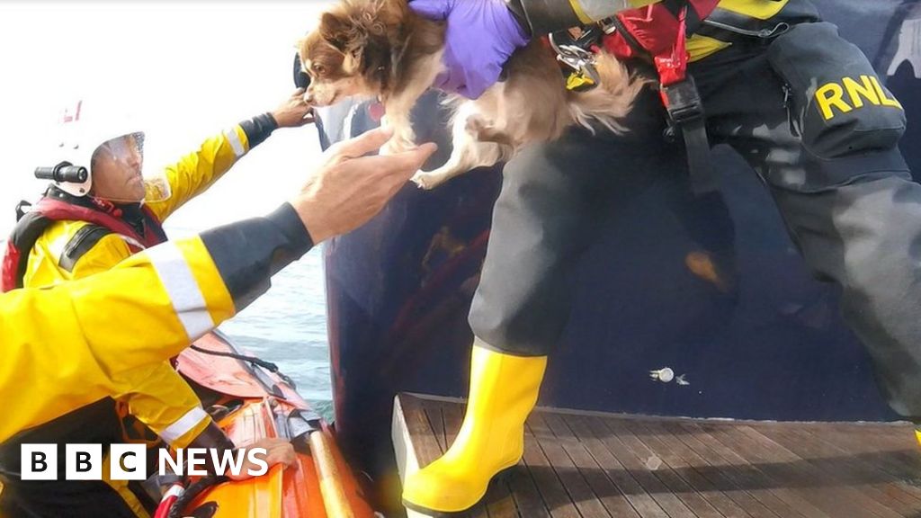Dad uses diving gear to put out Poole Harbour yacht fire - BBC News