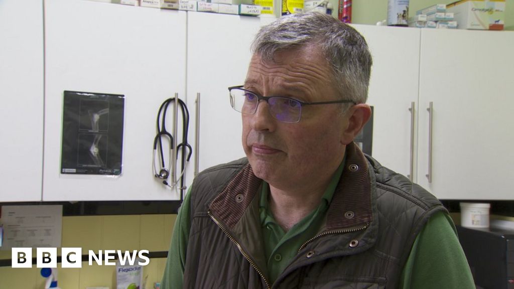 Dog acid attack 'worst case of animal cruelty', says vet - BBC News