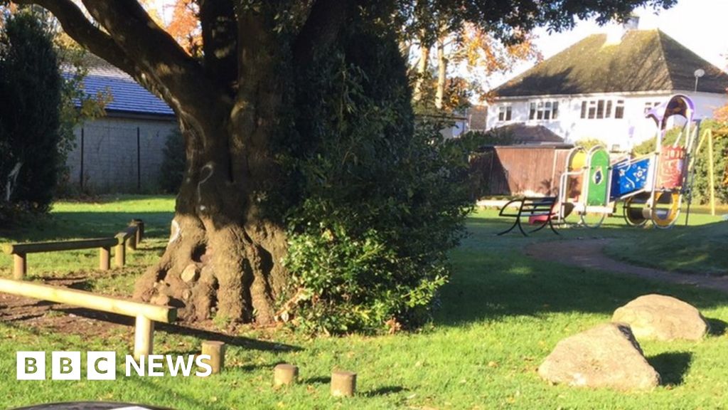 Swastika and racist symbols sprayed on Woodstock tree