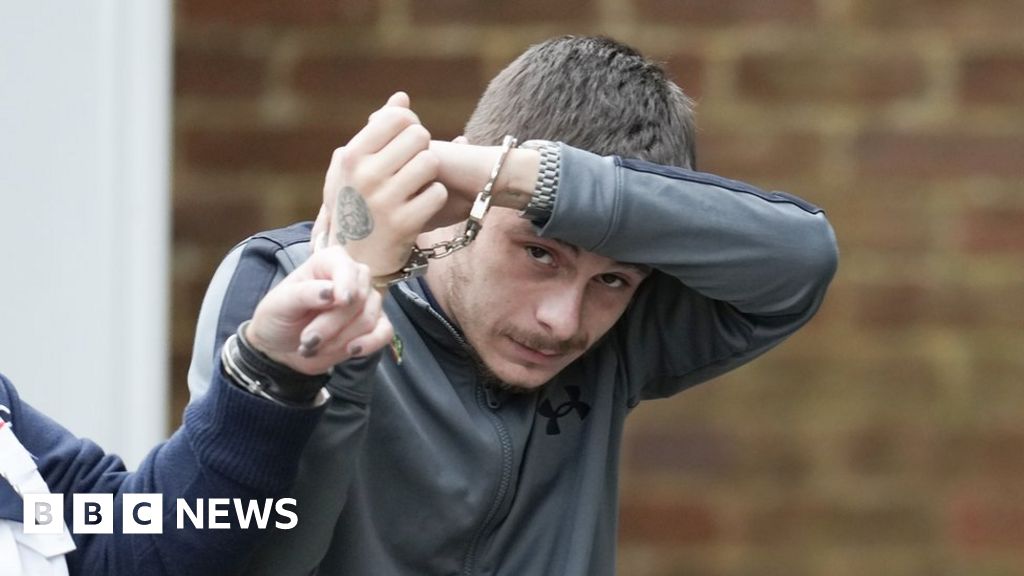 Hailsham: Man denies murder over hit-and-run death - BBC News