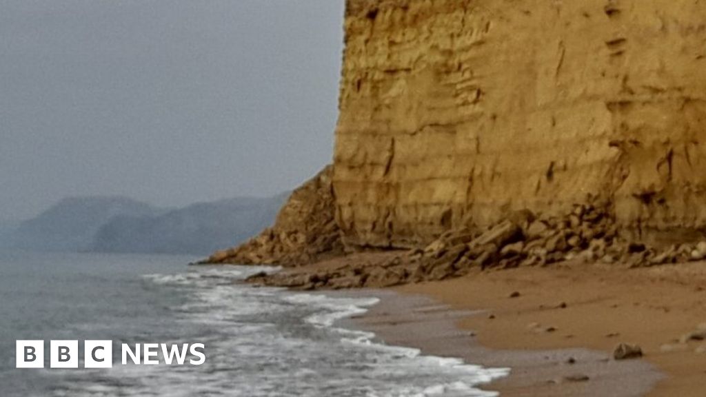 Jurassic Coast cliff fall near Burton Bradstock blocks beach - BBC News