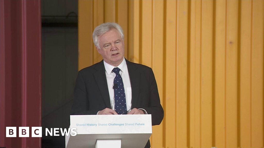 Davis: No differences over Brexit aims - BBC News