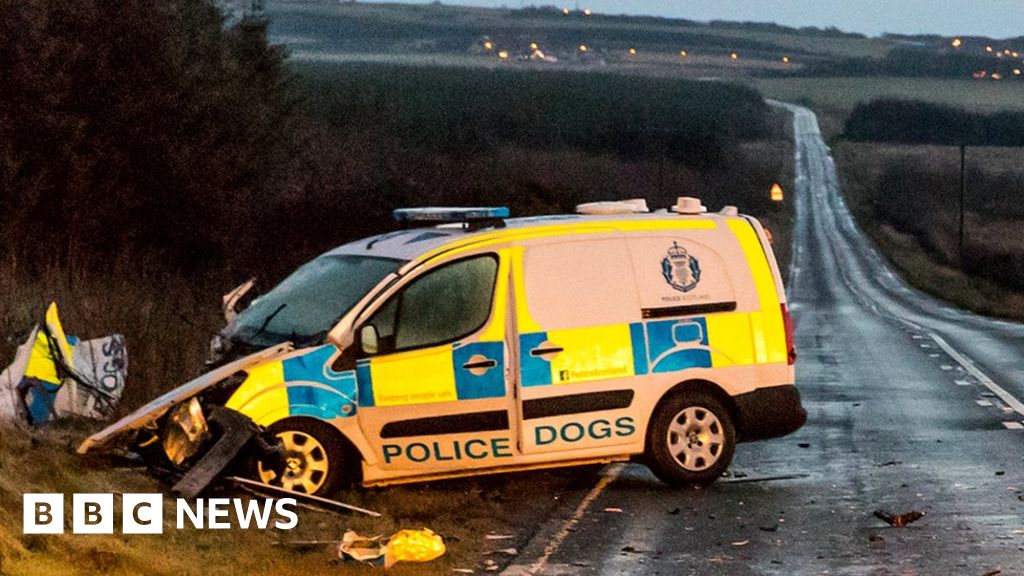 Police dog handler in court over driving and drugs charges