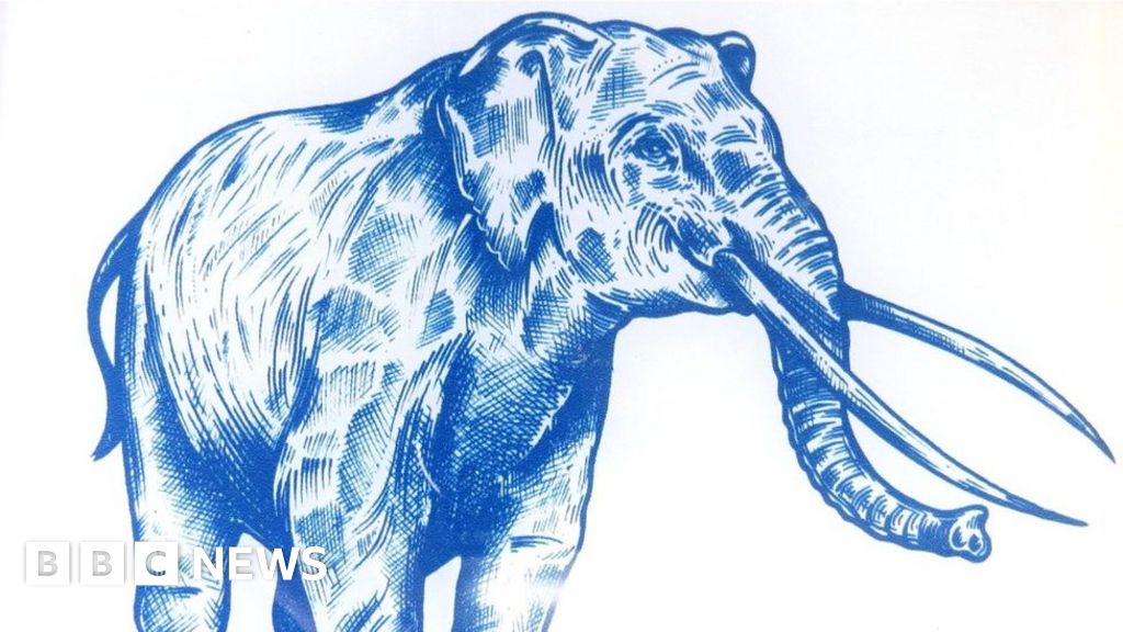 Isle of Wight extinct elephant fossil on display in Sandown - BBC News