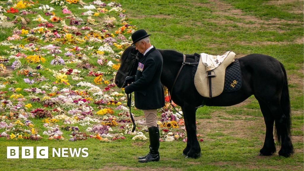 Queen’s funeral: Emma the pony’s ex-owner ‘would be so proud’ - BBC News