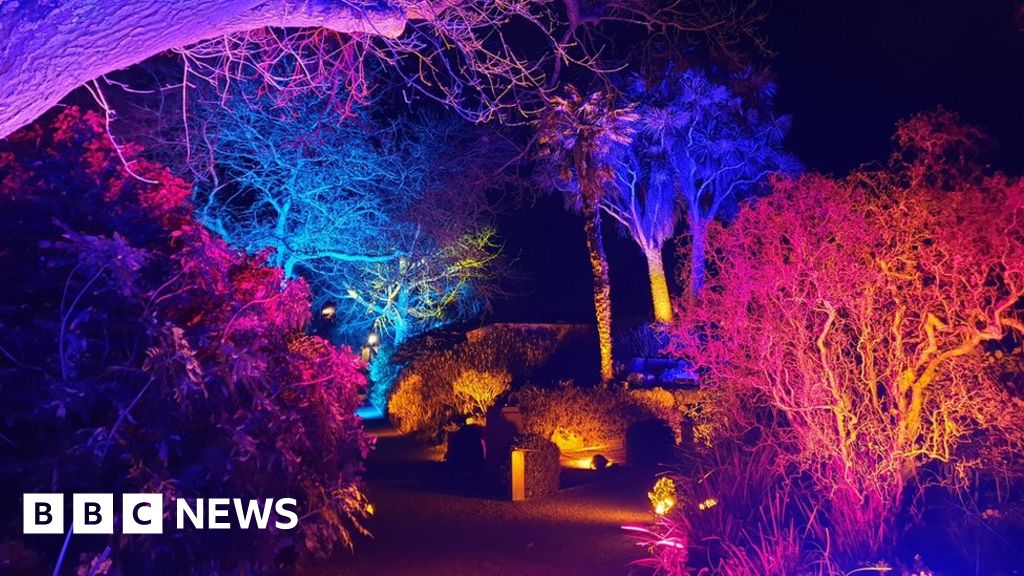 Illuminated tree event in Jersey returns for second year