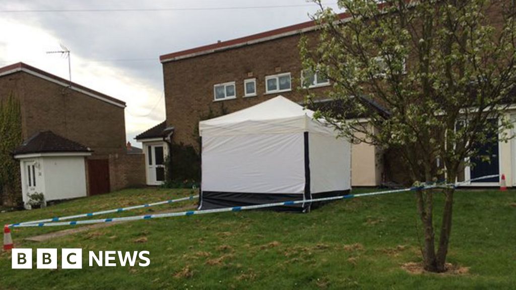 Four arrested after man found hurt in a Stevenage street dies - BBC News