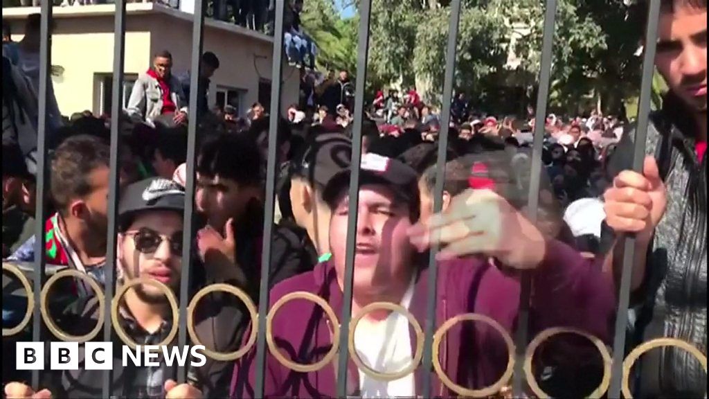 Algeria protest: Police face students opposed to president - BBC News