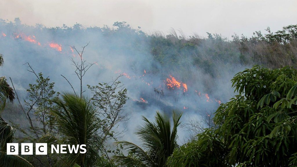 Human disturbances are making the Amazon rainforest 'more flammable ...