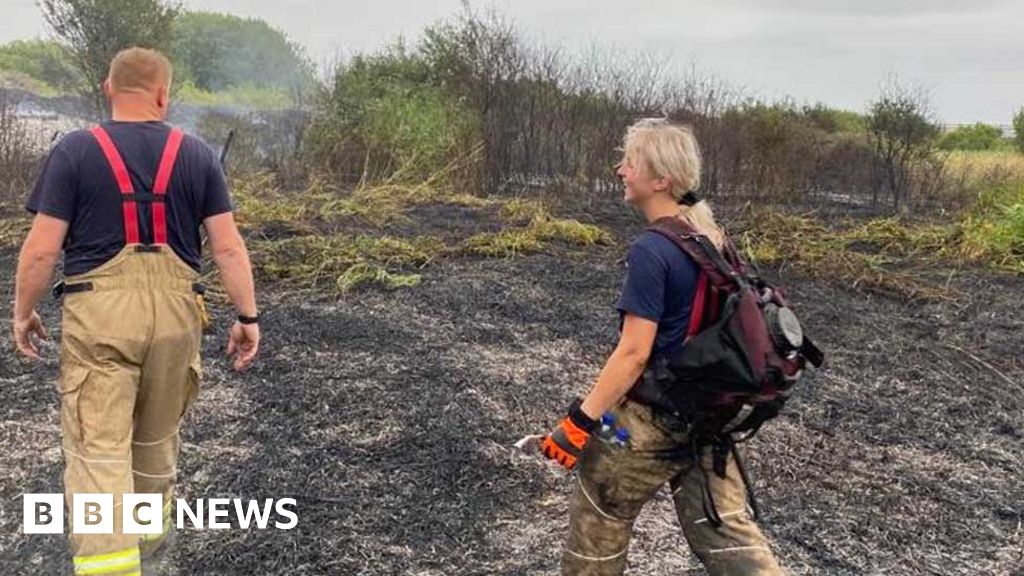 Firefighters tackle Canvey Island scrubland arson fire - BBC News