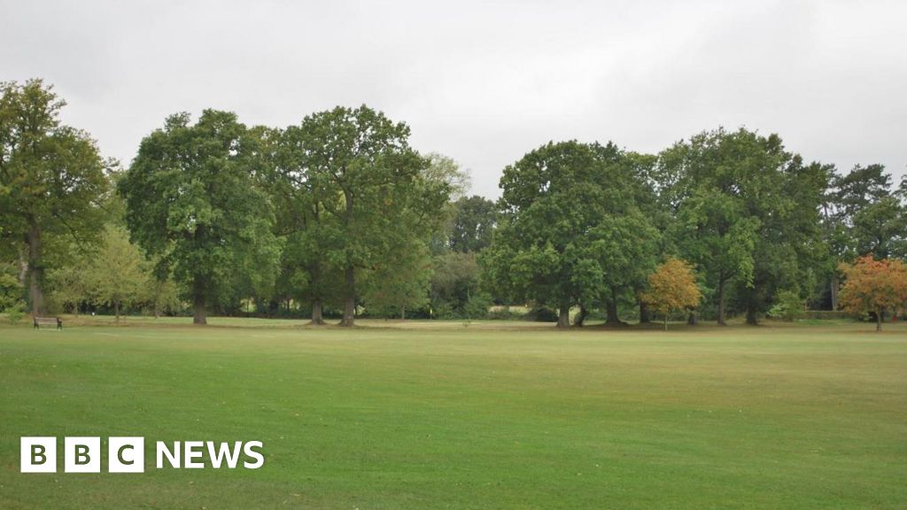 Crawley: Improvements to town park announced - BBC News