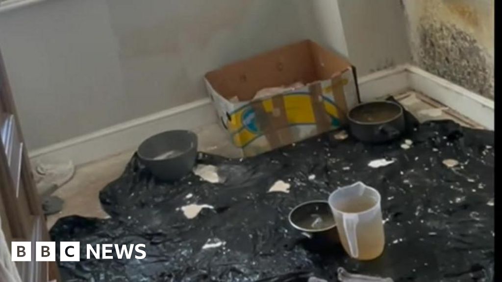 Canterbury mother battles housing association over mould - BBC News