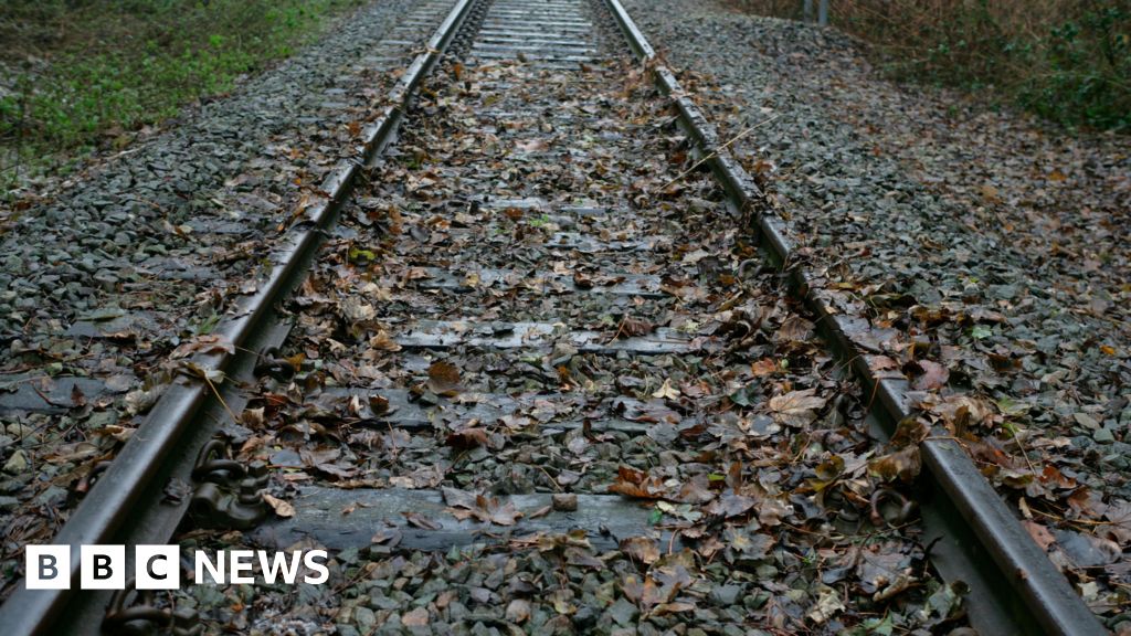 Specialist trains clear leaves, snow and ice from railway lines - BBC News
