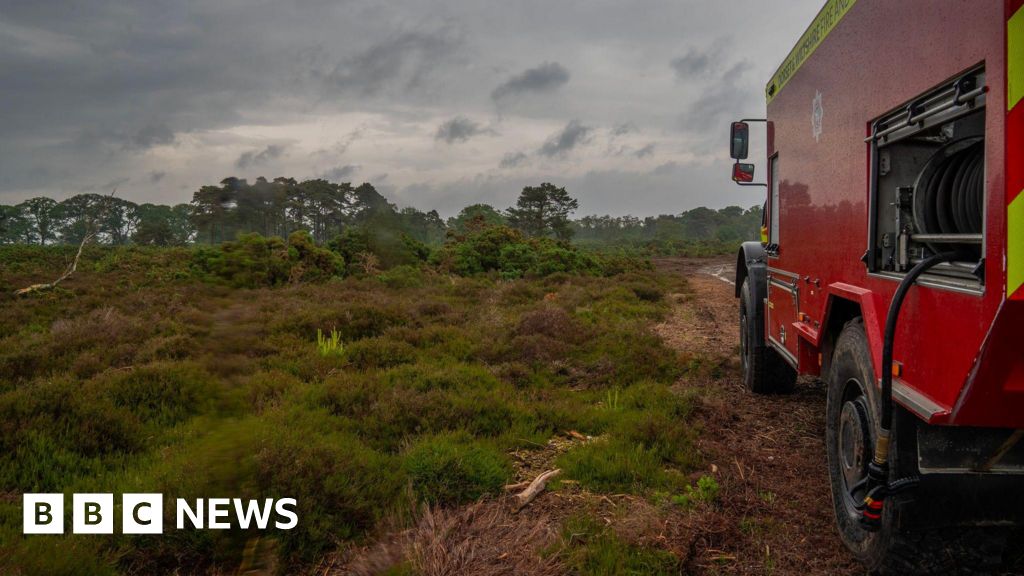 Wimborne heath fire started deliberately, fire service says - BBC News