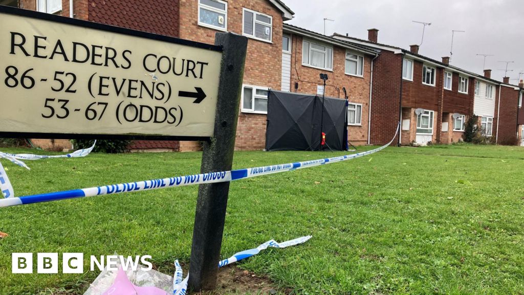 Great Baddow man admits stabbing his mum to death in February