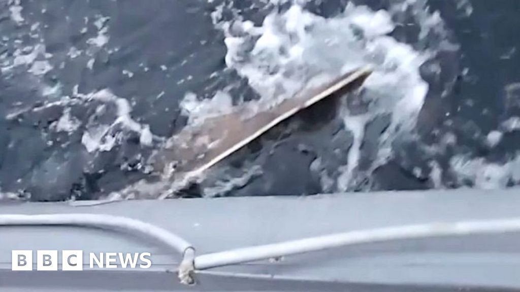 Watch the moment a skate attacks a fisherman's boat off Shetland - BBC News