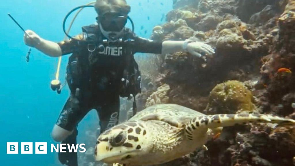 Worcester boy, 11, breaks scuba diving world record - BBC News