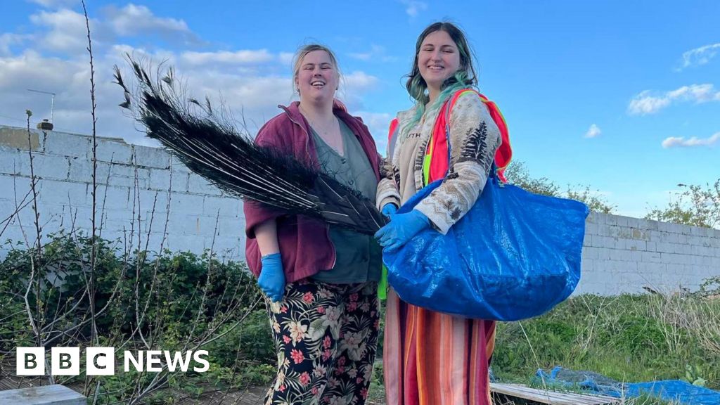 Gravesend: Lonely peacock starts new life at animal sanctuary