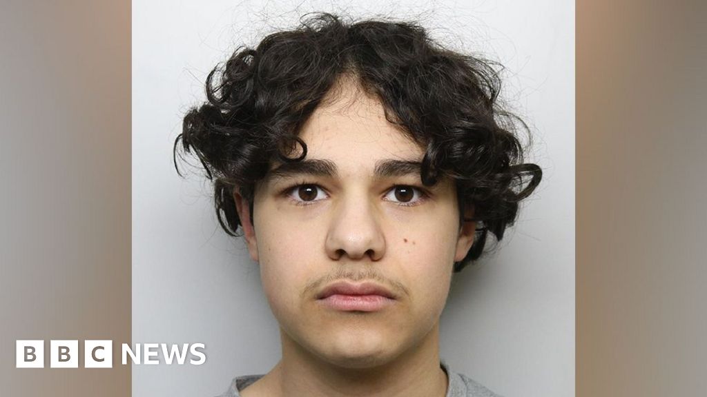 Alfie Lewis: Leeds teenager detained for life for murder - BBC News