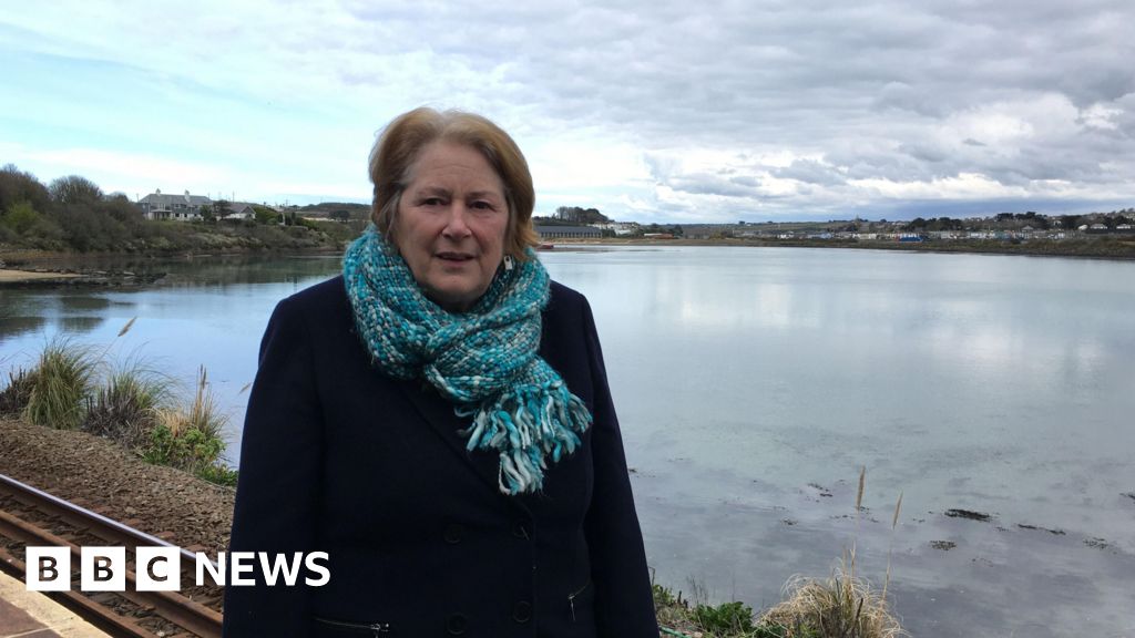 Women put off politics by abuse, says council leader Linda Taylor - BBC ...