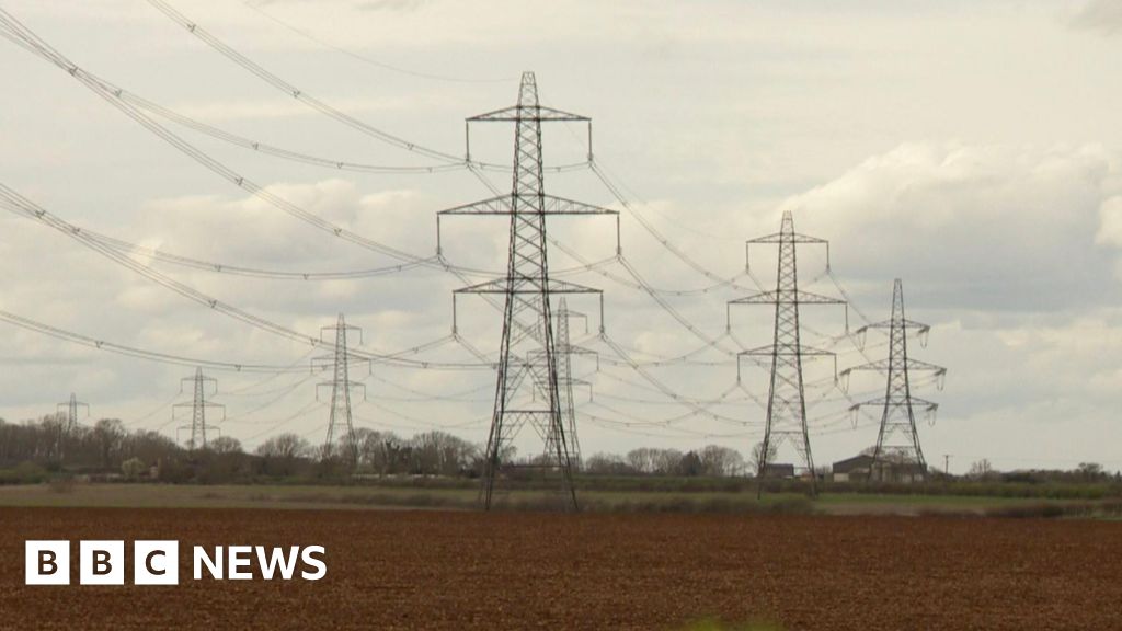 Lincolnshire pylon campaigners issue plea to the next government - BBC News