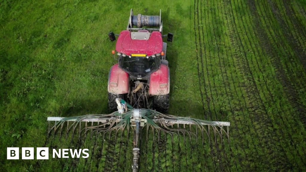 Farming: Muck-spreading regulations needed for pollution, review finds