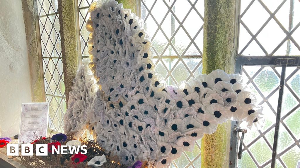 Display showcases multi-coloured poppies' stories - BBC News