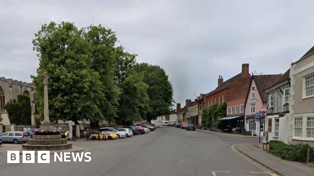 Driver found injured after horse and cart goes on loose in Dedham