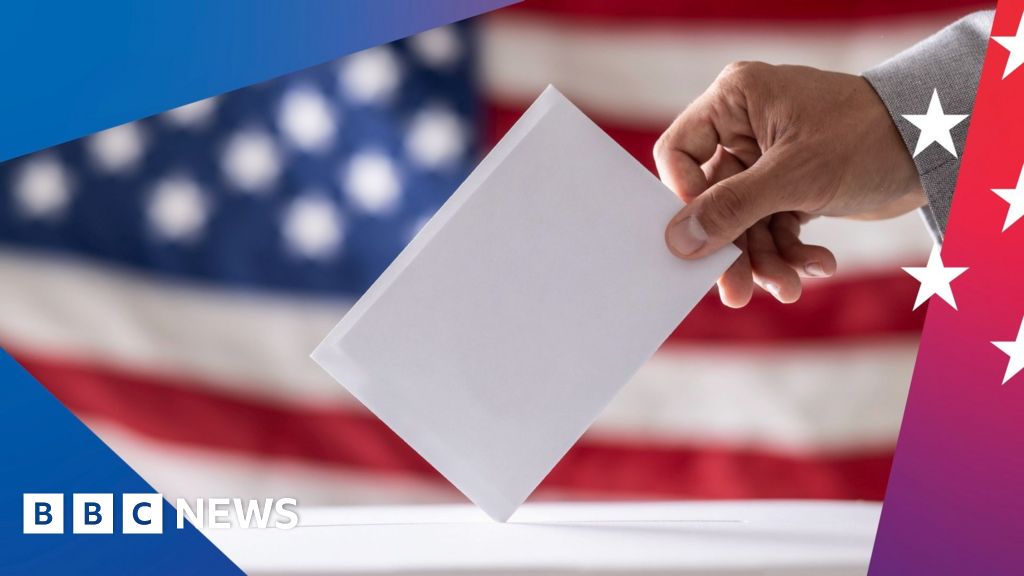 US Election 2024: What happens once a winner is announced?