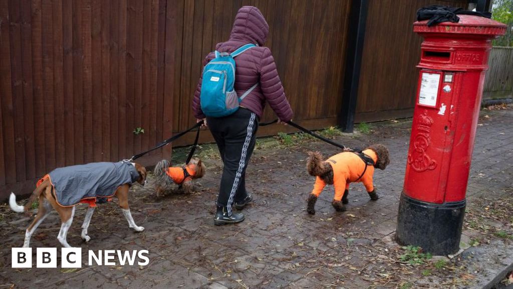 Frome dog poo campaign encourages owners to pick up after pets - BBC News