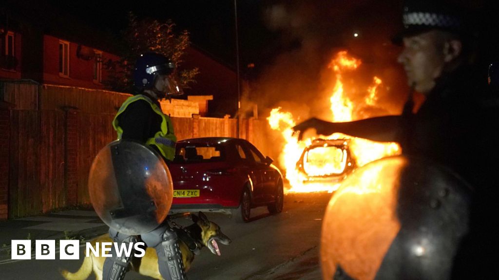 Hartlepool boys, 11 and 14, arrested over riot disorder