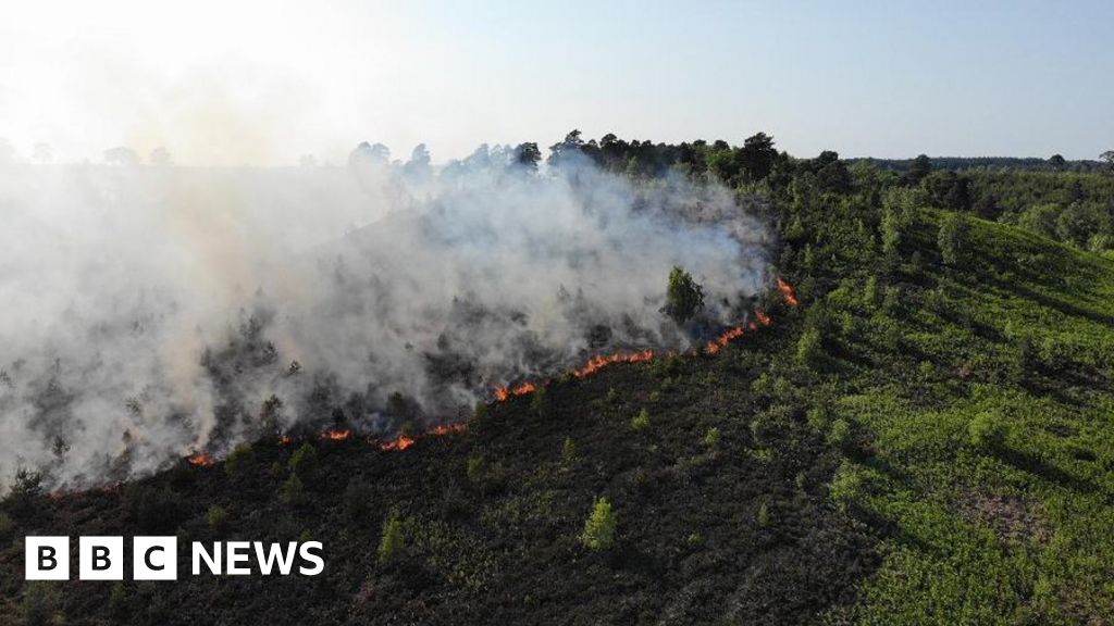 Frensham Common wildfire prompts call to keep windows closed - BBC News