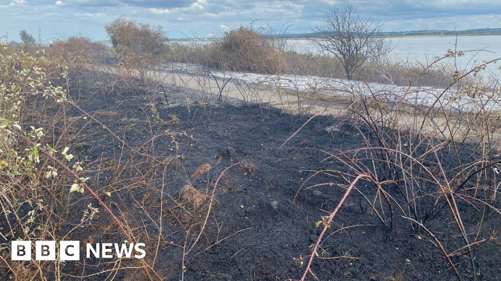 East Tilbury heathland fires put out by fire crews - BBC News