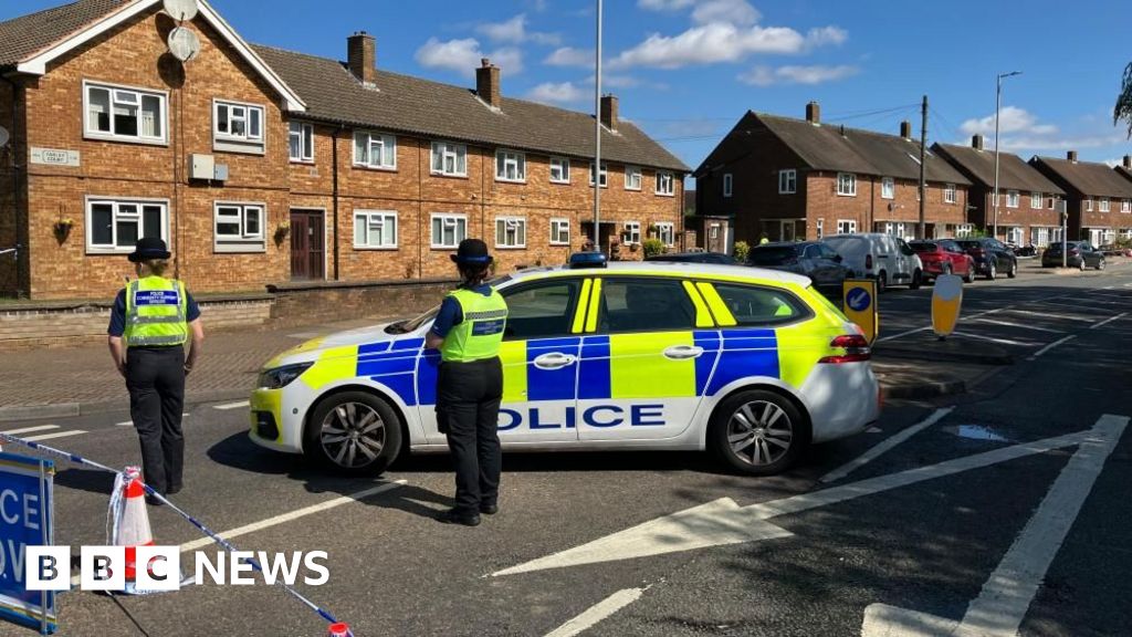 Stabbing in Farley Hill, Luton, prompts murder investigation