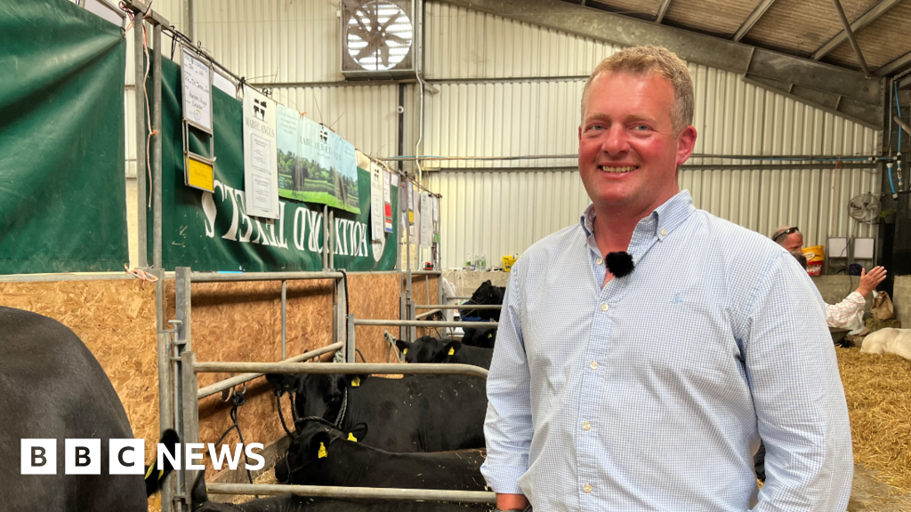 South West farmers fear for future ahead of general eleciton - BBC News