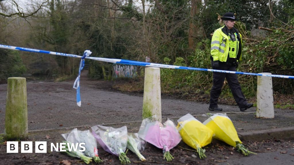 Birmingham Hall Green stabbing: Murder arrest after boy, 12, dies