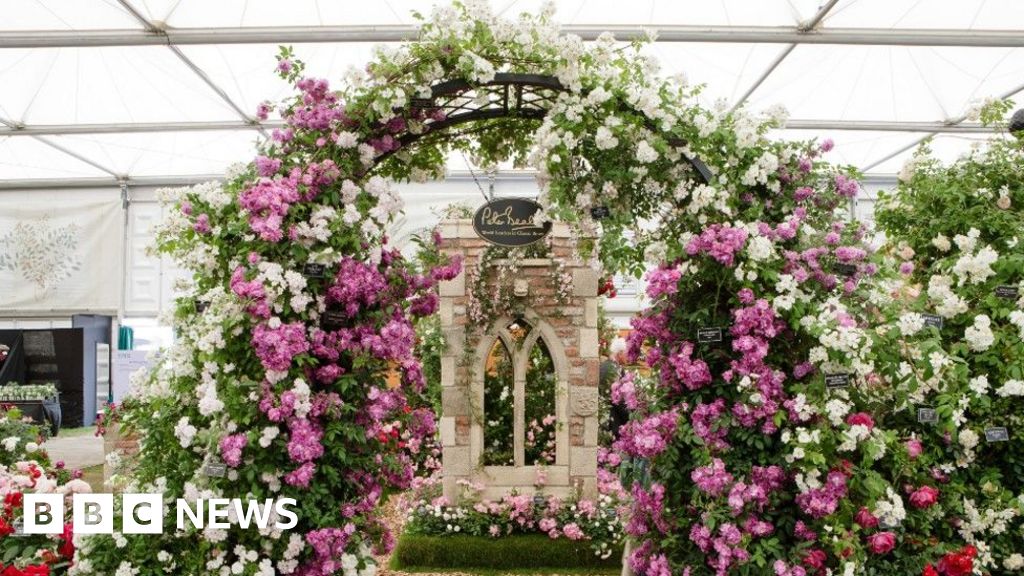 New owners for award-winning Attleborough rose growers - BBC News