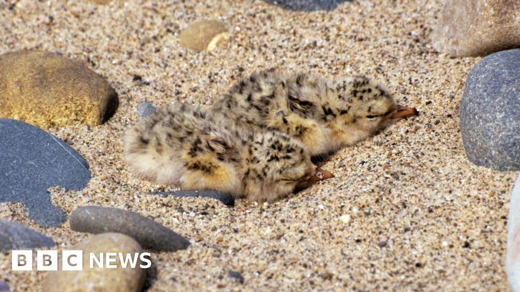 Final week to enter Manx wildlife photographic competition
