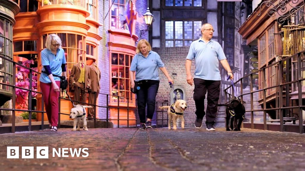 A spell at Dogwarts for Harry Potter Tour guide dogs - BBC News