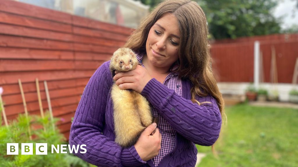 Animal rescuer builds ferret playground in Nottinghamshire home - BBC News