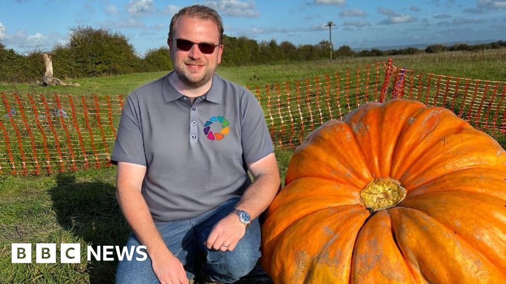 Highbridge man grows huge pumpkin on his allotment - BBC News