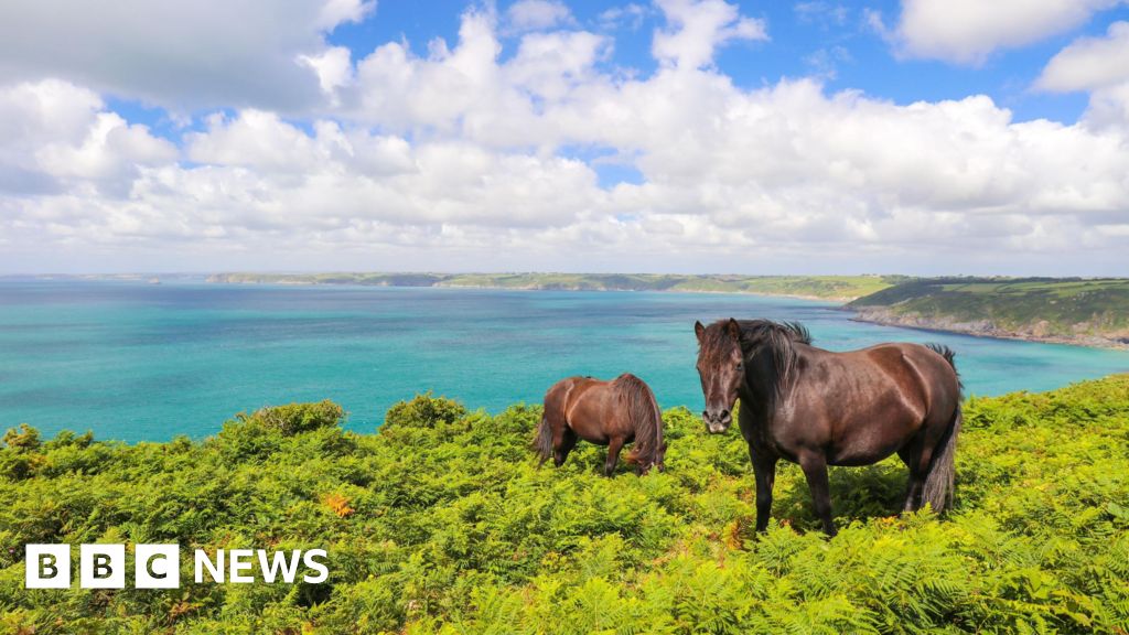 Unesco: Cornwall and the Isles of Scilly could join biosphere scheme ...