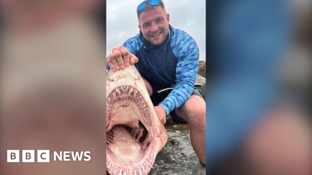 Barry fisherman shark bite was 'strength I'd never felt in my life ...