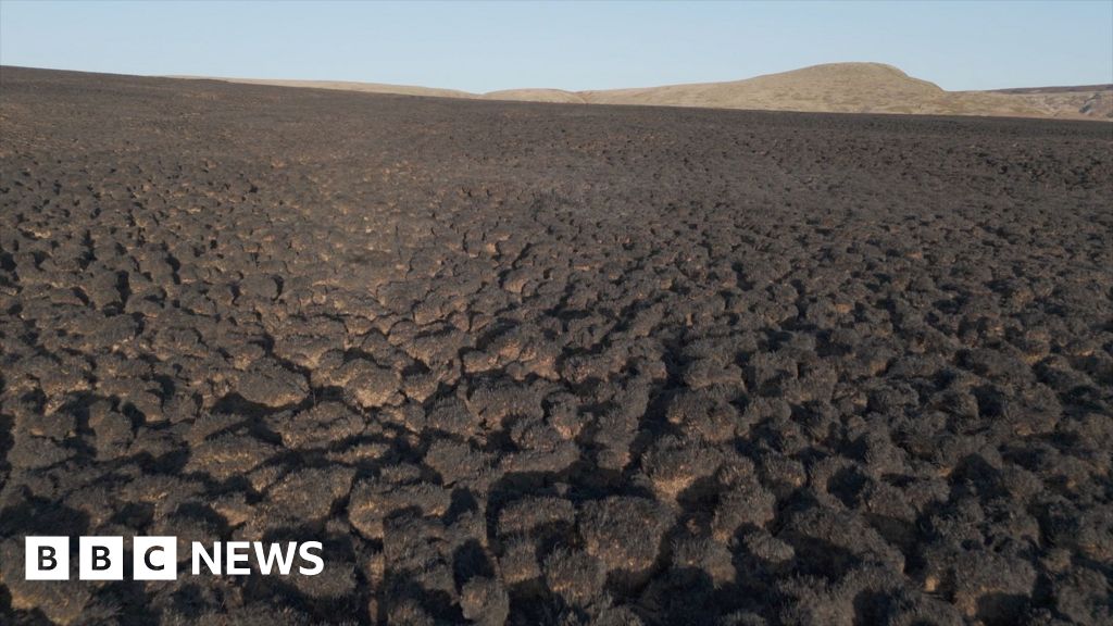Watch: Part of Marsden Moor devastated by major wildfire