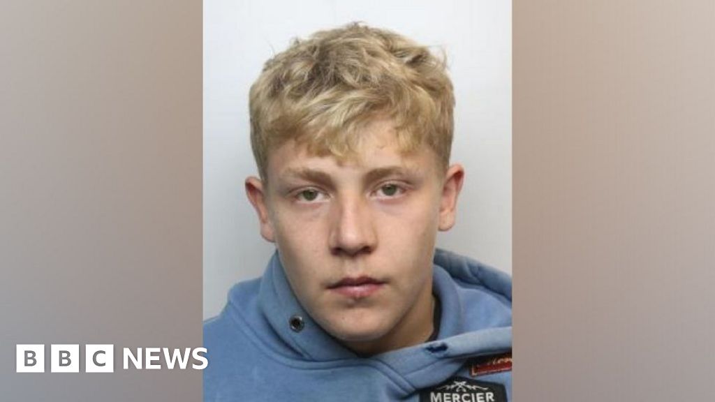 Teenager jailed after trying to tip police van at Rotherham riot