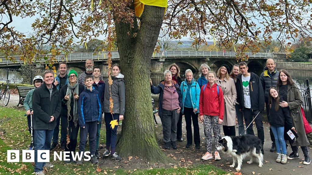 Otley's 180-year-old oak tree to be felled for bridge repairs