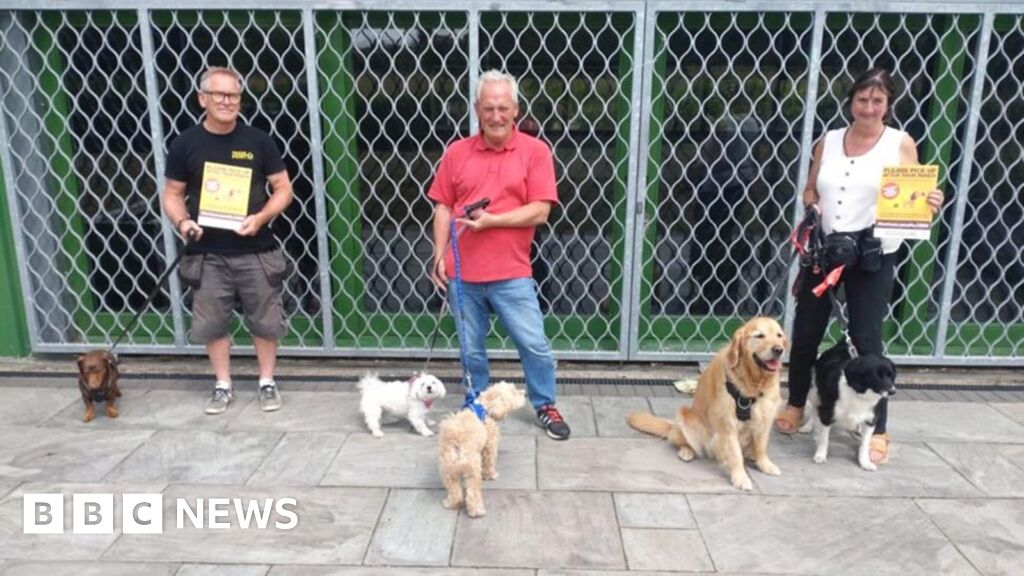 Lincolnshire village poo bag scheme aims to cut dog waste