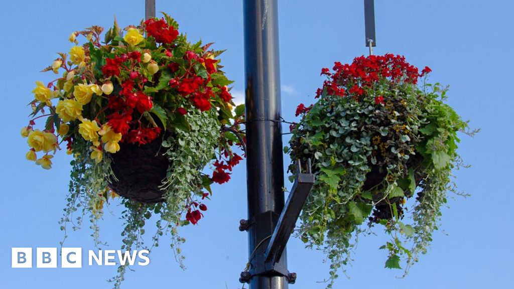 Hanging baskets may return to safety rules-hit Chatteris