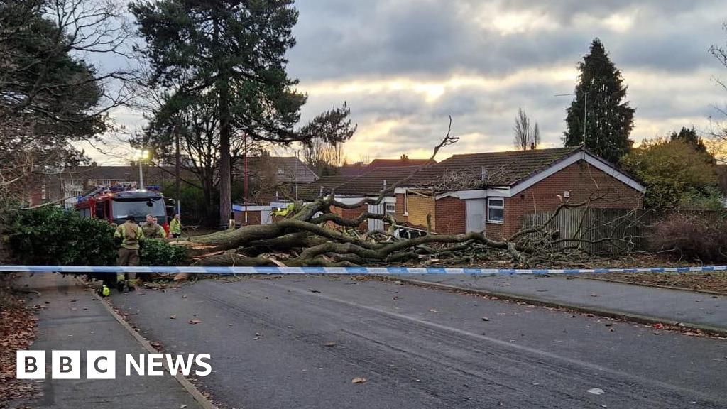 Large tree falls on bungalow as strong winds hit West Midlands